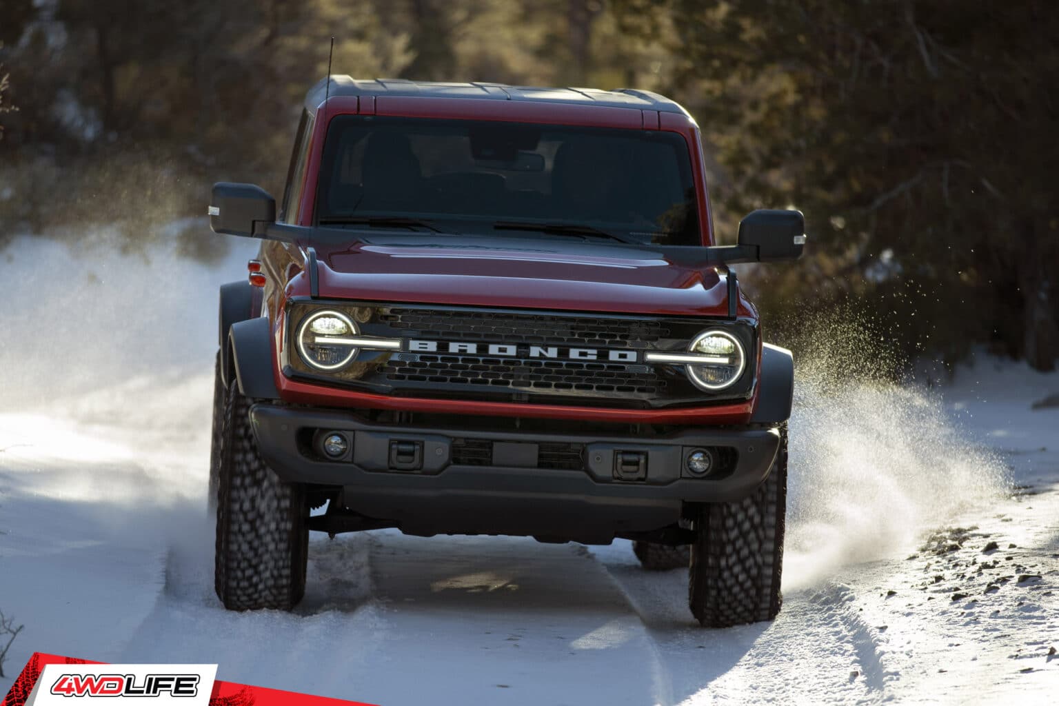 Ford Bronco Common Problems You Should Know | 4WD Life